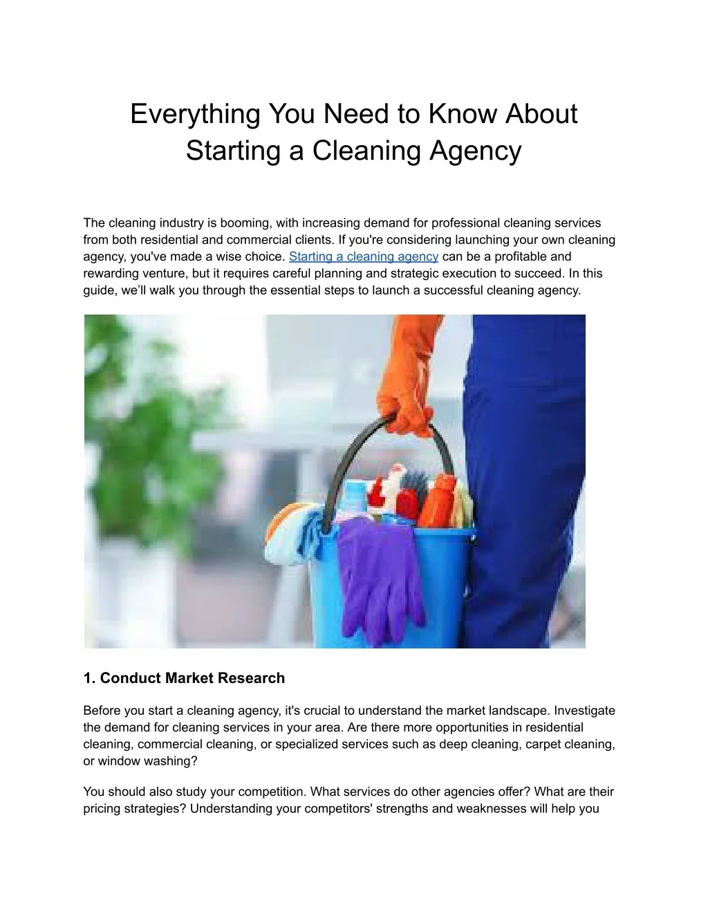 PPT - Everything You Need to Know About Starting a Cleaning Agency ...