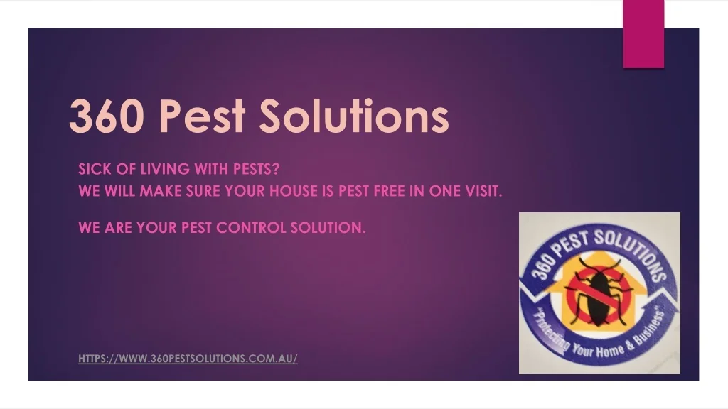 PPT - 360 Pest Solutions PPT PowerPoint Presentation, free download ...