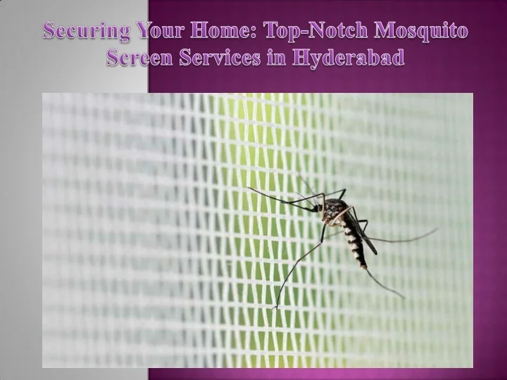 PPT - Securing Your Home Top-Notch Mosquito Screen Services in ...