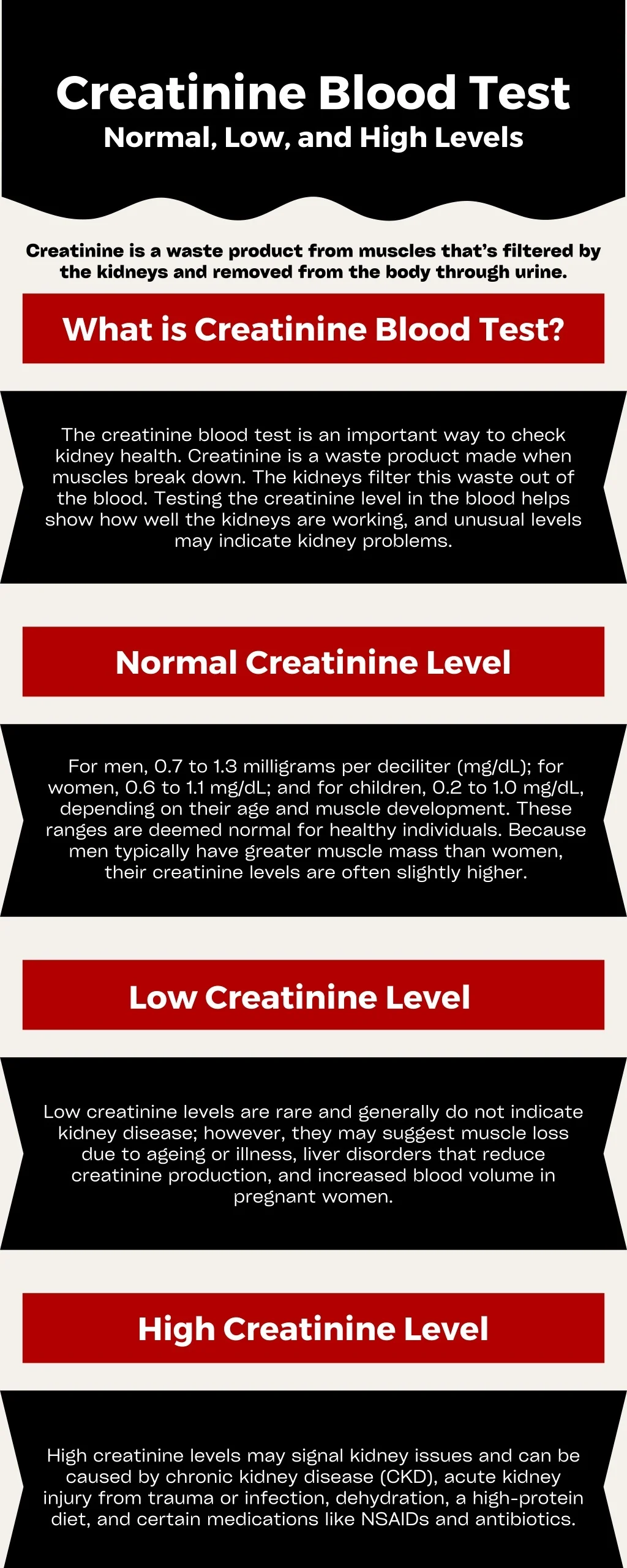 PPT - Know Creatinine blood tests and its Normal, Low, and High Ranges ...