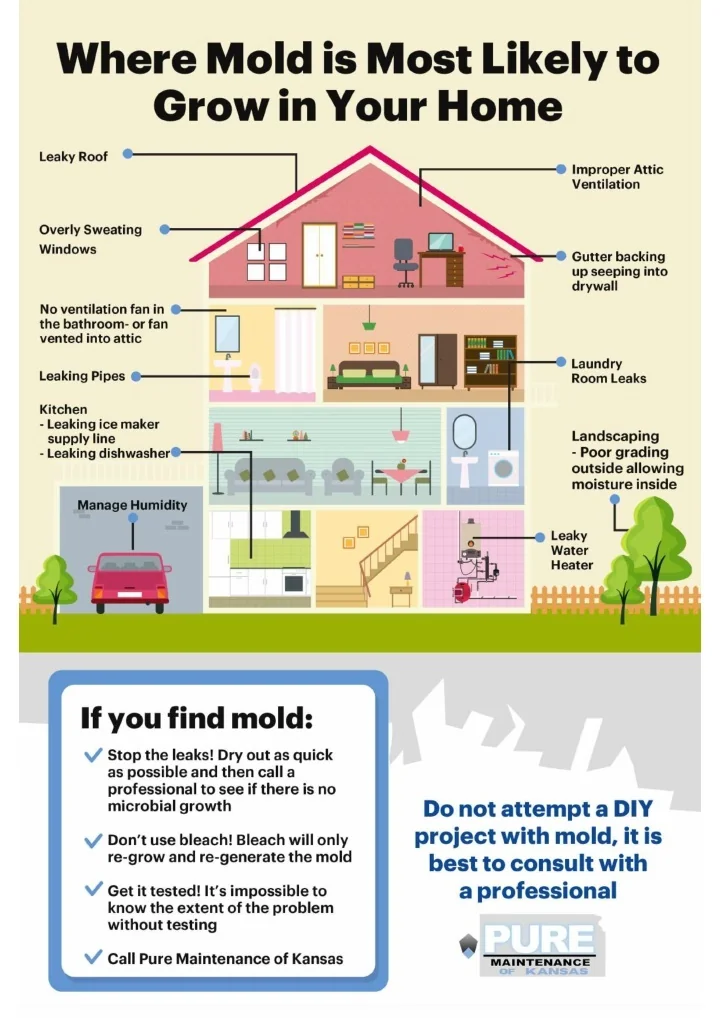 PPT - Uncovering Hidden Mold - Pure Maintenance of Kansas’ Guide to ...
