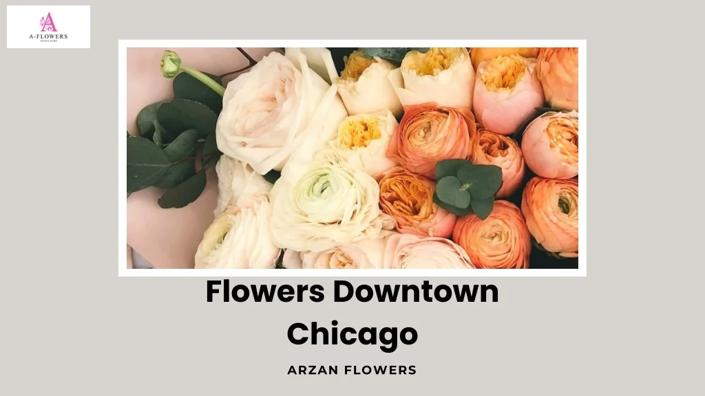 PPT - Gorgeous Flowers from Arzan Flowers in Downtown Chicago ...