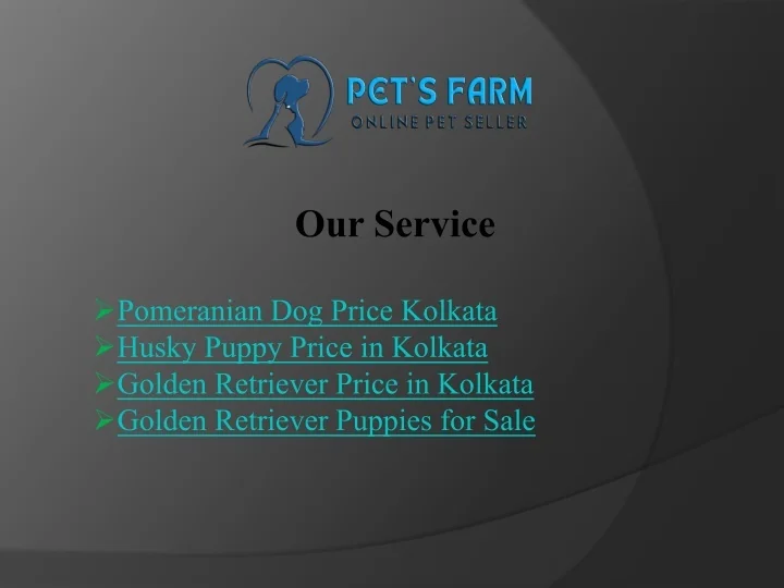 PPT - Find Your Perfect Husky Puppy Prices and Tips from PetsFarm Kolkata PowerPoint ...